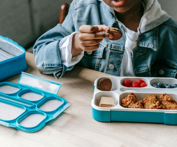 Best Lunch Boxes for Kids and Adults: Practical Choices for Every Need ...