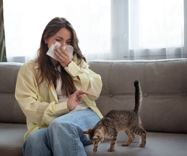 How to Know If You're Allergic to Furry Pets and What to Do About It ...